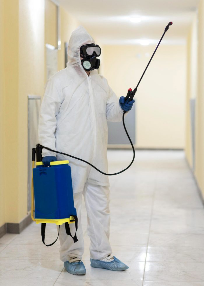 How to Control Pests Without Harming Your Pets